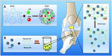 Methotrexate Injection Sites