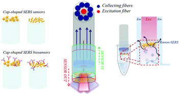 Fiber-cap biosensors for SERS analysis of liquid samples - Journal of Materials Chemistry B (RSC ...