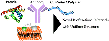 Controlled polymerization for the development of bioconjugate polymers ...