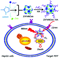 A natural polysaccharide mediated MOF-based Ce6 delivery system with ...
