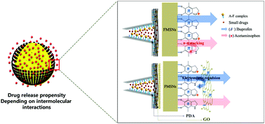 Comparative release kinetics of small drugs (ibuprofen and ...