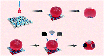 Bioinspired design of amphiphilic particles with tailored compartments ...