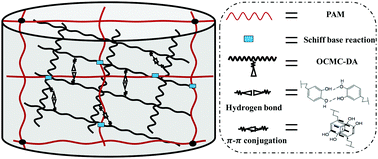 Mussel-inspired hybrid network hydrogel for continuous adhesion in ...
