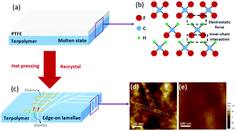Enhanced electrocaloric strength of P(VDF-TrFE-CFE) induced by edge-on ...