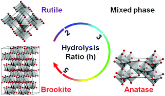 The formation mechanism of TiO2 polymorphs under hydrothermal ...
