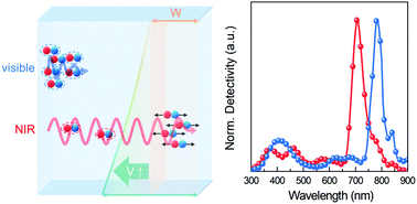 Rational design of a junction structure to realize an NIR-selective ...