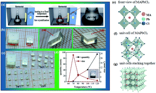 A high performance perovskite CH3NH3PbCl3 single crystal photodetector ...