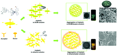 Solvent-induced aggregation based on a heteroleptic Ir(iii) complex via ...