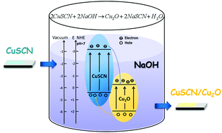 In situ growth of a P-type CuSCN/Cu2O heterojunction to enhance charge ...