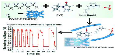 An ionic polymer–metal nanocomposite sensor using the direct attachment ...
