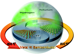 Tunable large-area phase reversion in chemical vapor deposited few ...