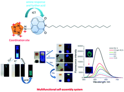 Multifunctional fluorescent naphthalimide self-assembly system for the detection of Cu2+ and K+ ...