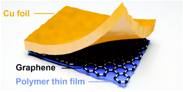Etching- and intermediate-free graphene dry transfer onto polymeric ...