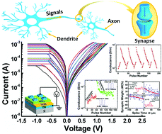 Interface-engineered reliable HfO2-based RRAM for synaptic simulation - Journal of Materials ...