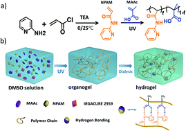 A novel 3D-printable hydrogel with high mechanical strength and shape ...