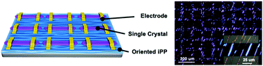 Preparation of highly oriented single crystal arrays of C8-BTBT by ...