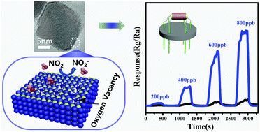 Oxygen vacancy engineering of self-doped SnO2−x nanocrystals for ...