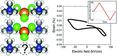 Super-coercive electric field hysteresis in ferroelectric plastic ...