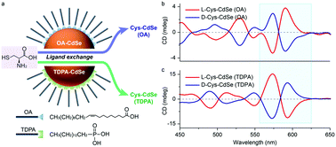 Chirality Cysteine