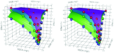New models for the time dependent toxicity of individual and combined ...