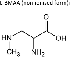 Environmental distribution of the neurotoxin l-BMAA in Paenibacillus ...