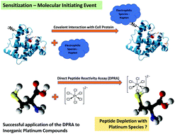 Application of the direct peptide reactivity assay (DPRA) to inorganic ...