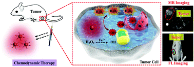 Multifunctional red carbon dots: a theranostic platform for magnetic ...