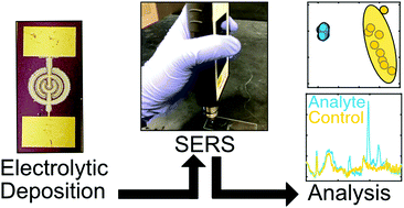 Portable surface-enhanced Raman scattering analysis performed with ...