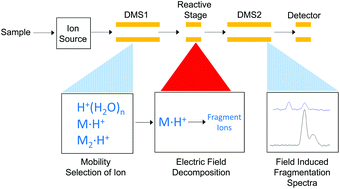 Field induced fragmentation spectra from reactive stage-tandem ...
