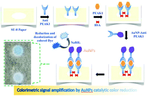 A new method to amplify colorimetric signals of paper-based ...