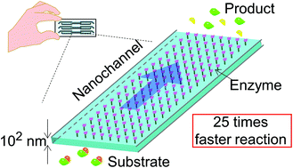 Picoliter enzyme reactor on a nanofluidic device exceeding the bulk ...