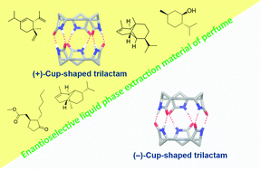 Application of cup-shaped trilactams for selective extraction of ...