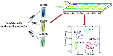 Fe–N/C single-atom nanozyme-based colorimetric sensor array for ...