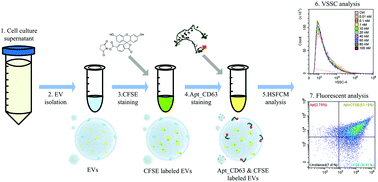 Quantitative Flow Cytometry Measurements NIST, 57% OFF