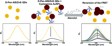 Determination of atenolol based on the reversion of the fluorescence resonance energy transfer ...