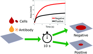 A rapid paper-based blood typing method from droplet wicking - Analyst ...
