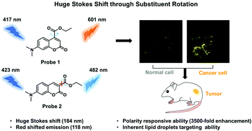 Engineering a lipid droplet targeting fluorescent probe with a large ...