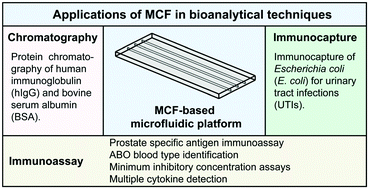 Applications of microcapillary films in bioanalytical techniques ...
