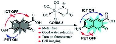 A metal-free coumarin-based fluorescent probe for the turn-on monitoring of carbon monoxide in ...
