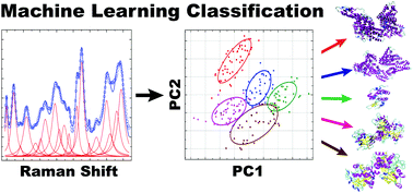 Label-free SERS detection of proteins based on machine learning ...