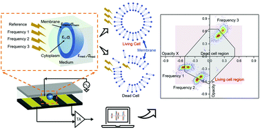 Multi-frequency single cell electrical impedance measurement for label ...