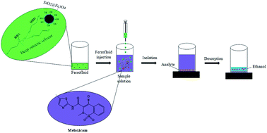 Development of a magnetic dispersive micro-solid-phase extraction ...