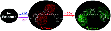 Screening and application of boron difluoride complexes of curcumin as ...
