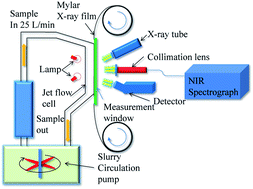 On-stream mineral identification of tailing slurries of tungsten via ...