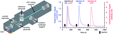 3D-printed microfluidic device with in-line amperometric detection that ...