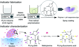 Colorimetric indicators for volatile amines based on succinic anhydride ...