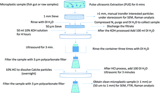 A new method for microplastic extraction from fish guts assisted by ...
