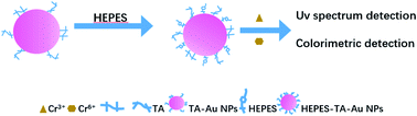 A novel colorimetric probe with positive correlation between toxicity ...