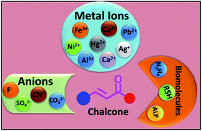 Development of chalcone-based derivatives for sensing applications ...