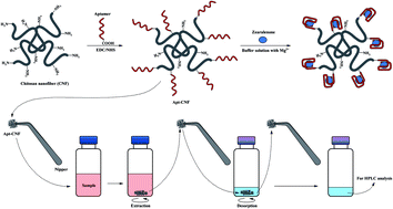 A dispersive solid phase extraction adsorbent based on aptamer modified ...